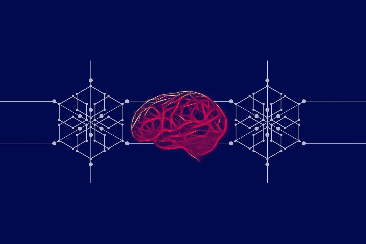 IT Infrastructure Setup In Longmont, CO